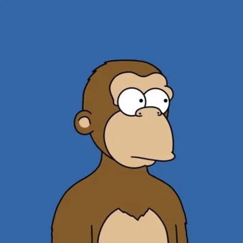 Digital Art NFTs, Web3 Development, Experiences | Nifty Gateway Studio